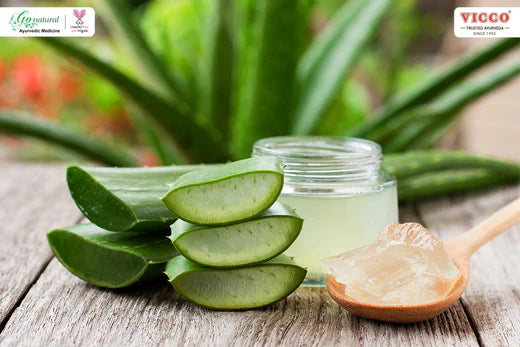 Benefits of Aloe For Skin |Aloe Vera For Oily Skin-Vicco Labs – Vicco labs
