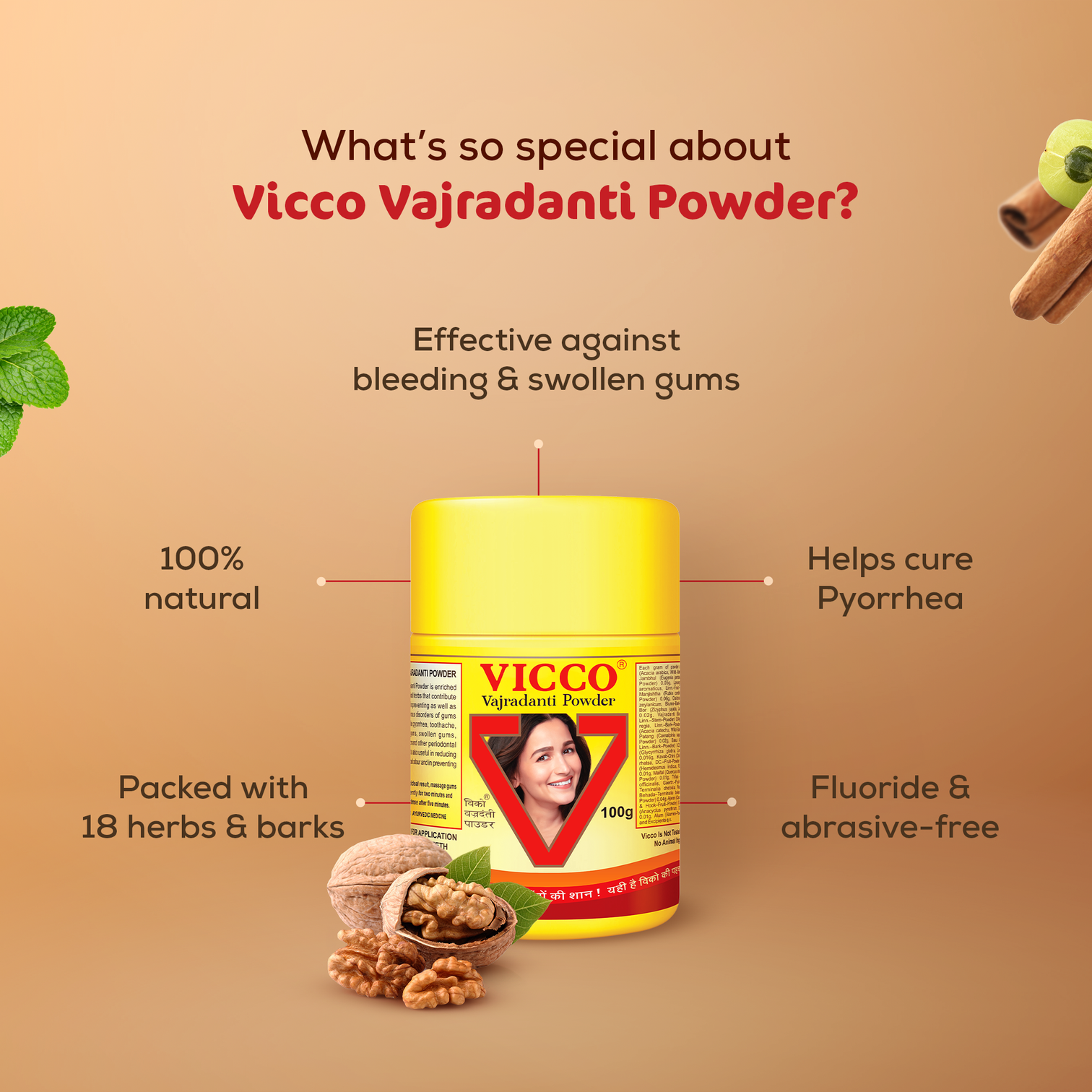 Buy Vicco Vajradanti Tooth Powder 100g | Ayurvedic Dental Care Powder ...